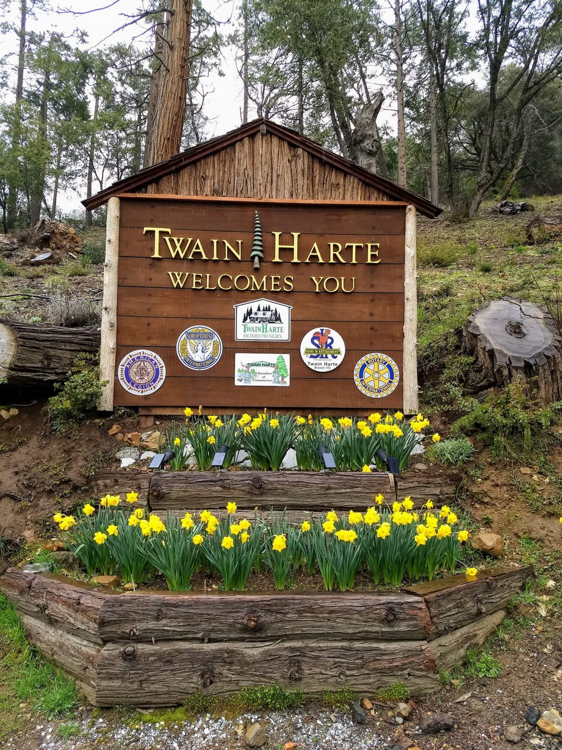 Providing Vacation Cabin Rentals in Twain Harte, California