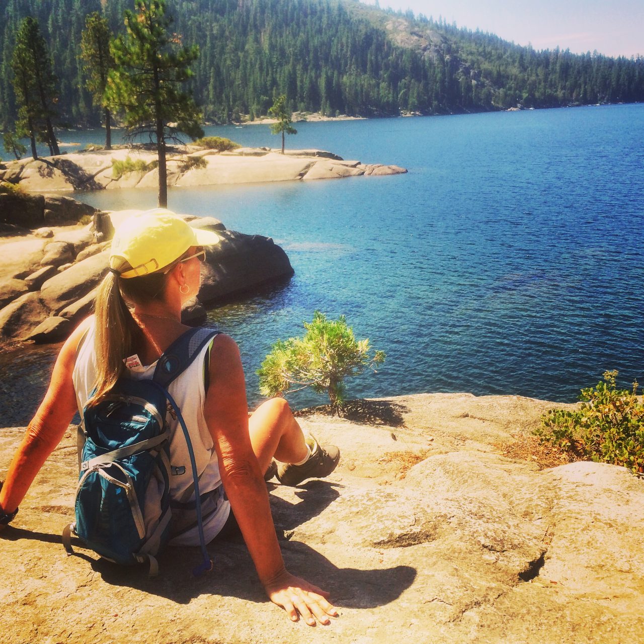 Providing Vacation Cabin Rentals in Twain Harte, California